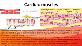 Muscles and Muscle Tissue | PPTX