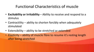Muscles and Muscle Tissue | PPT