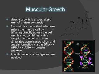 Muscles and skin | PPT