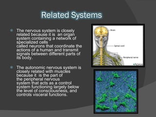 Muscles and skin | PPT