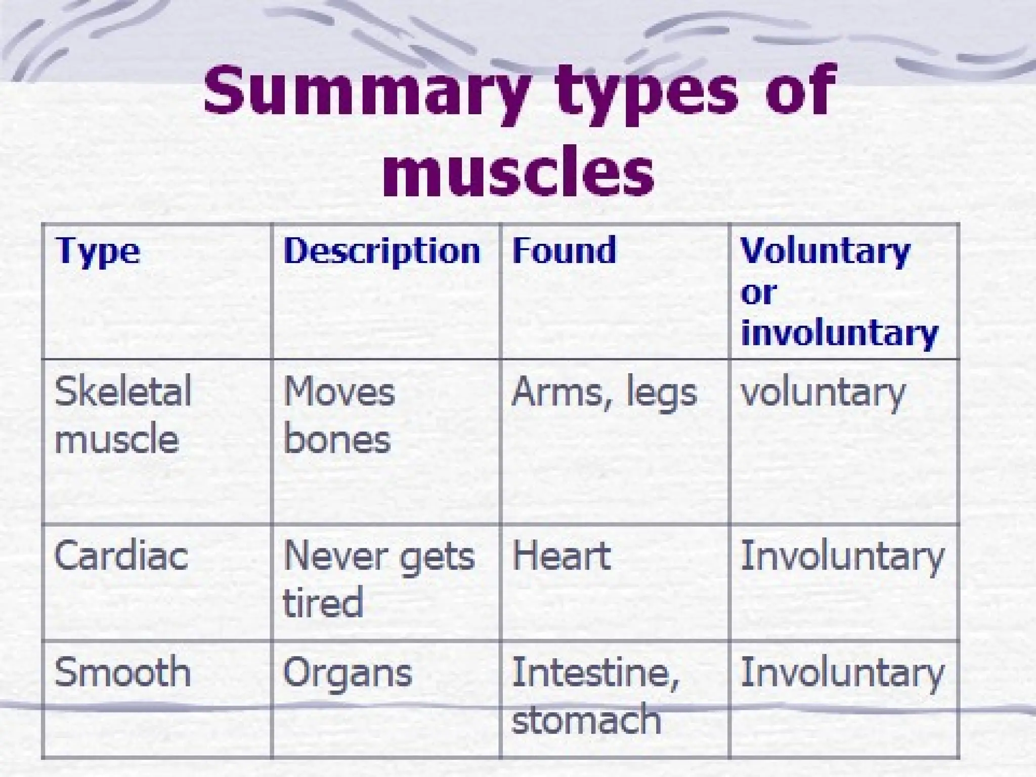 Muscles and Their different Types in human body | PPTX