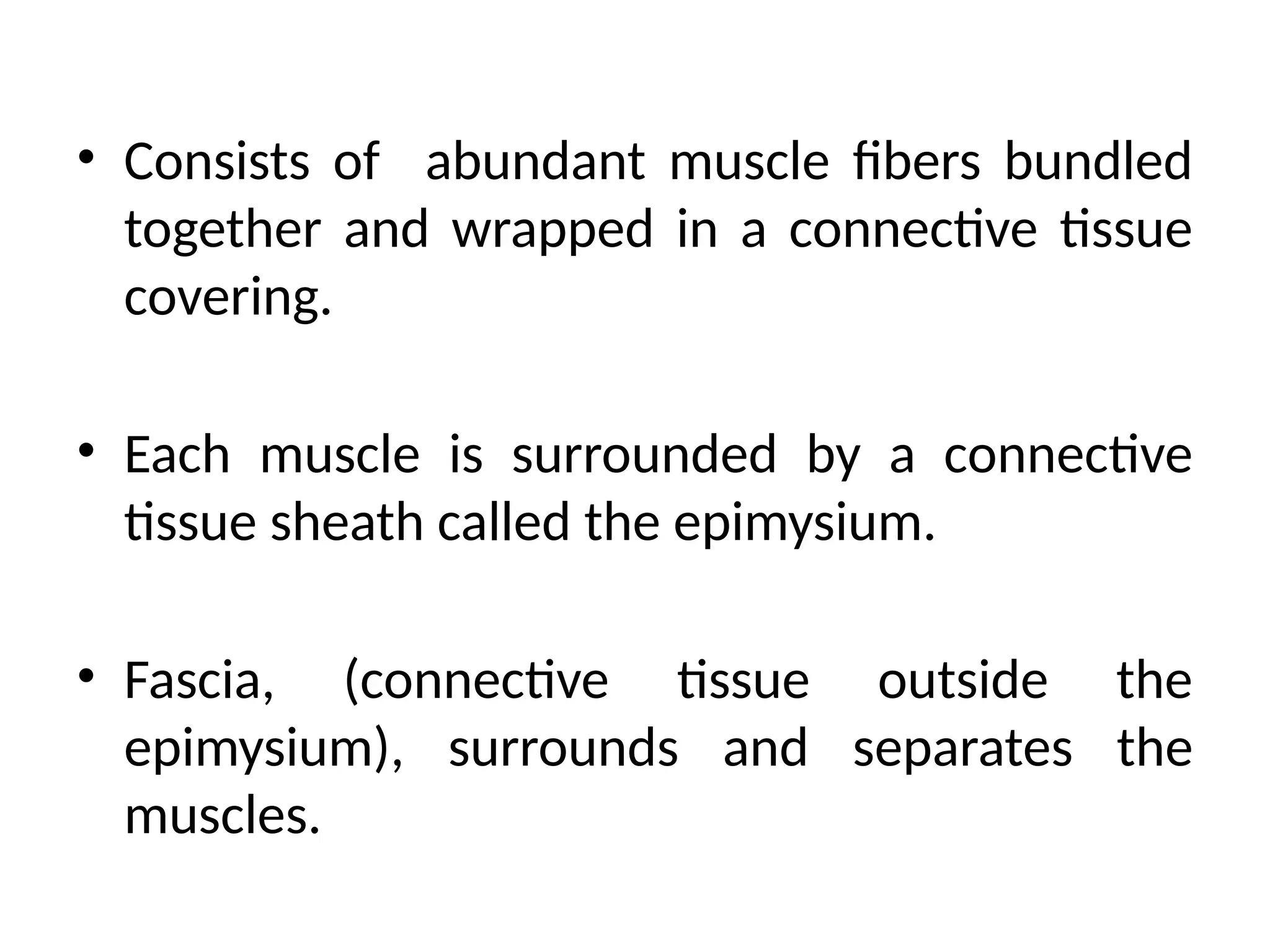 Muscles and Their different Types in human body | PPTX