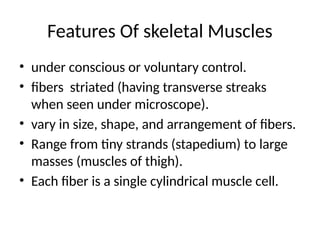 Muscles and Their different Types in human body | PPTX