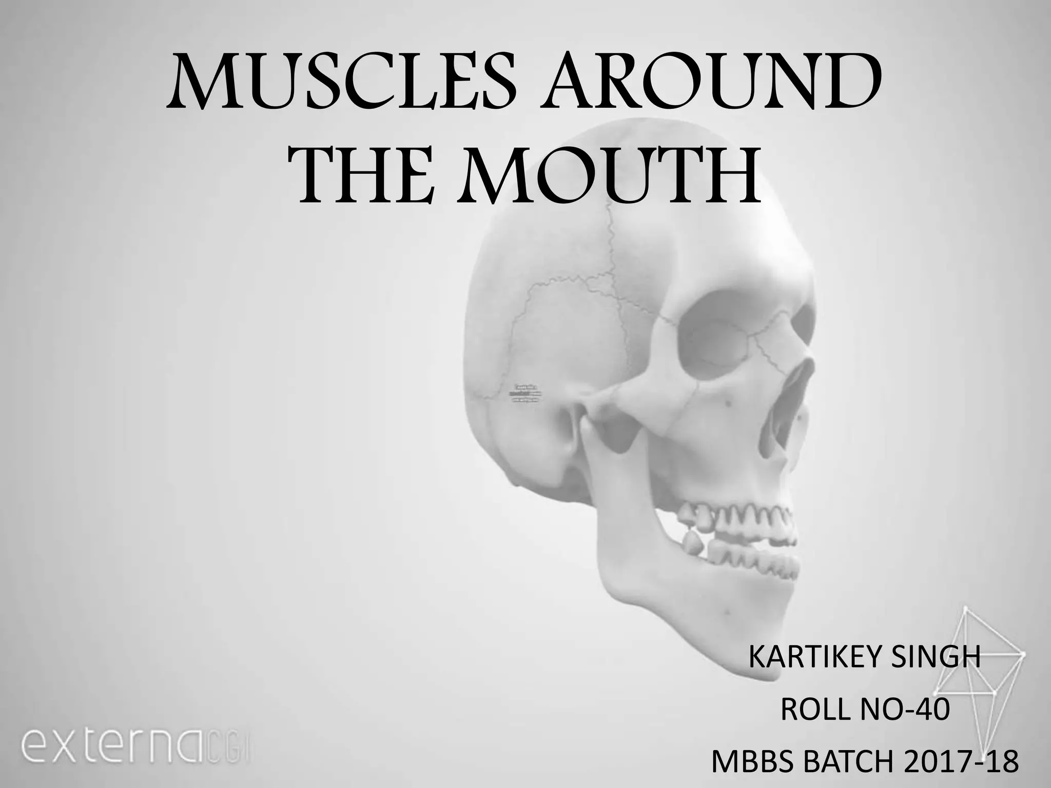 MUSCLES AROUND THE MOUTH | PPTX