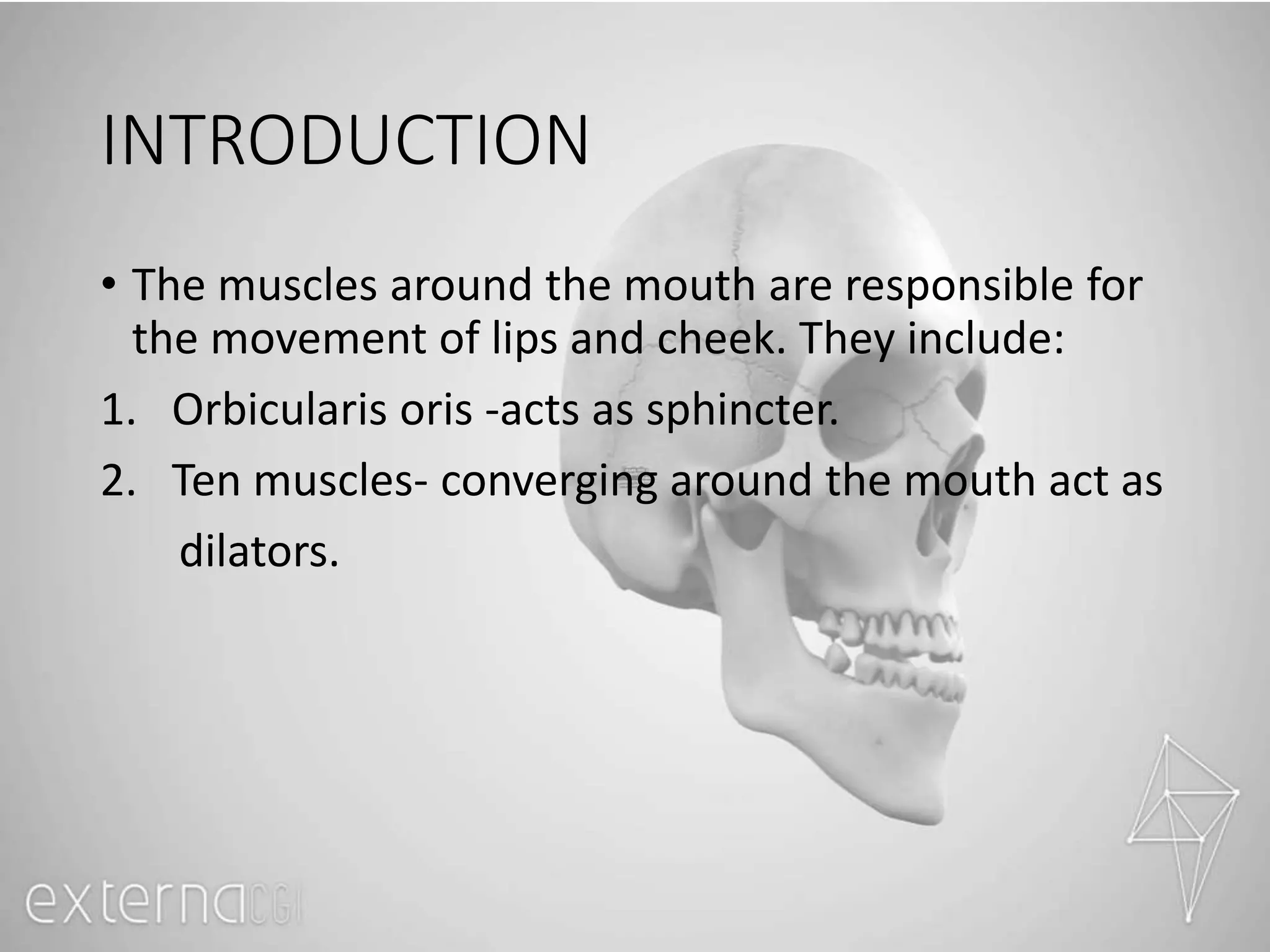 MUSCLES AROUND THE MOUTH | PPTX