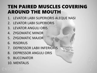 MUSCLES AROUND THE MOUTH | PPTX