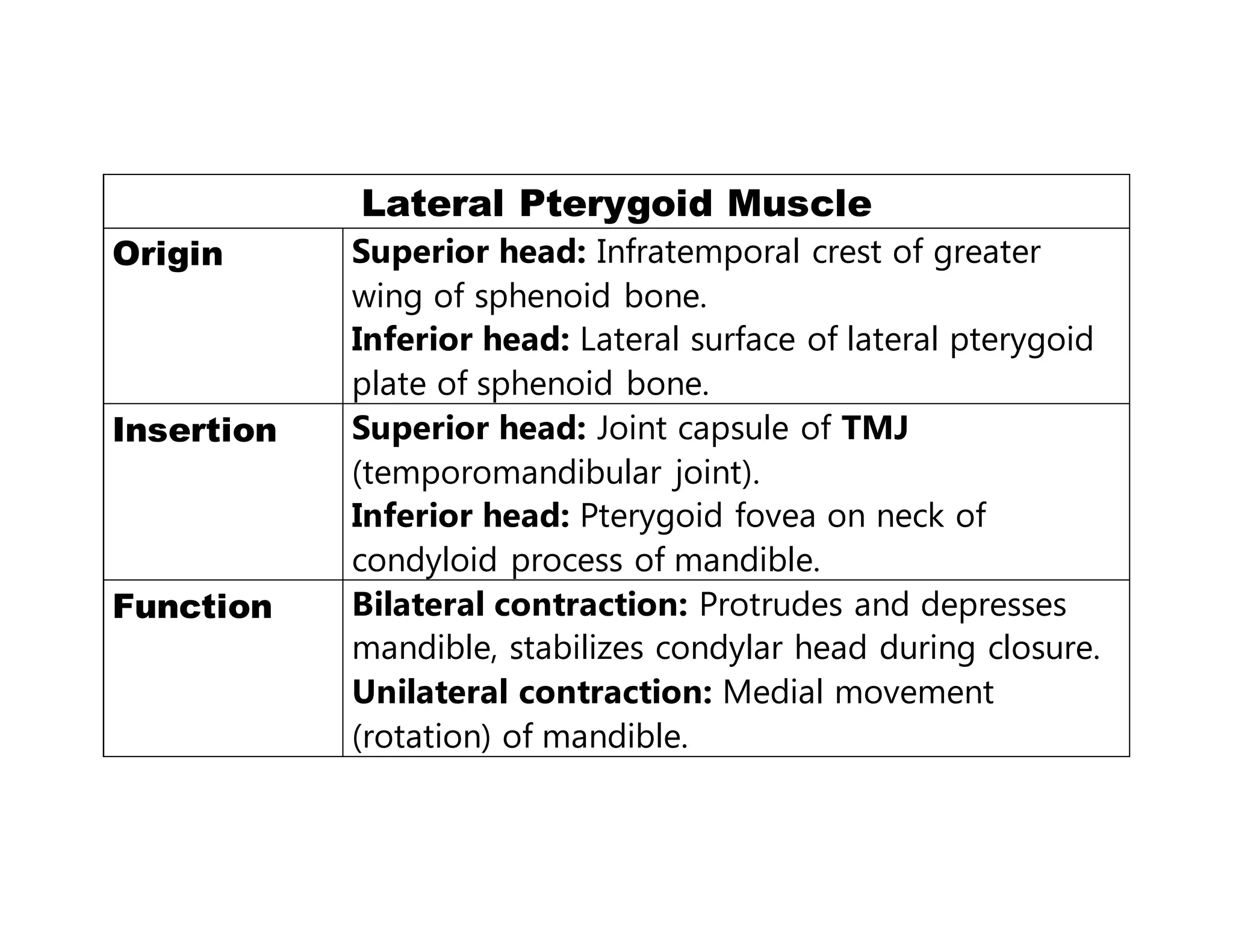 Muscles attached to the mandible | DOCX