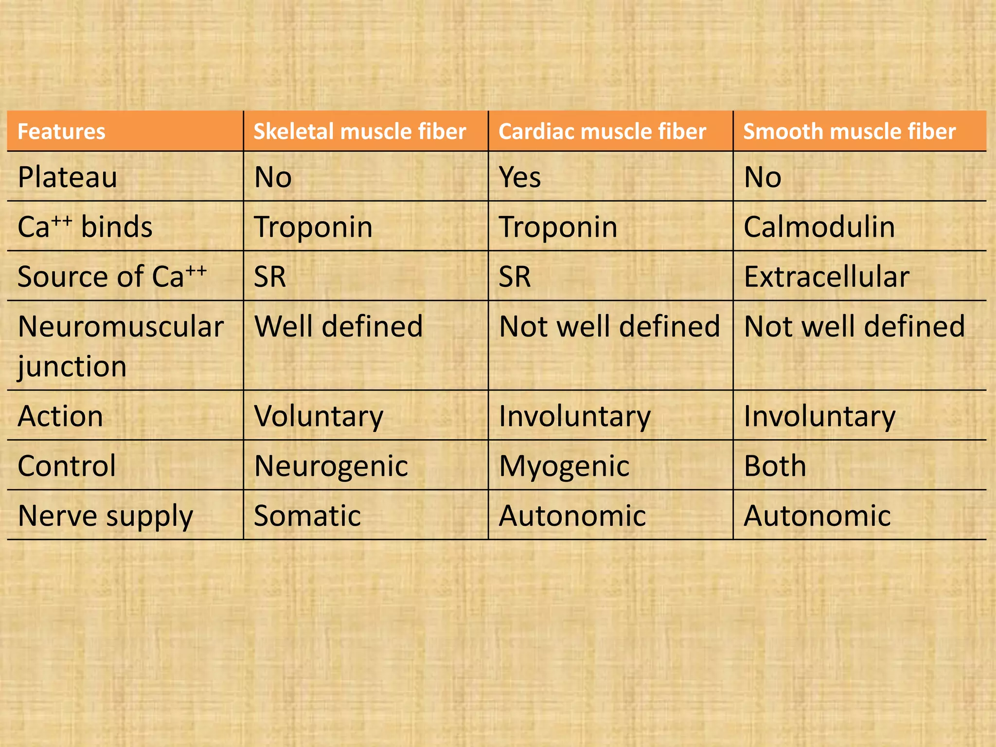 Muscles classification | PDF