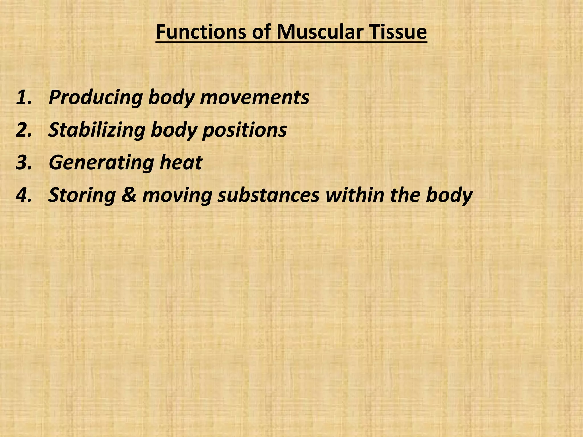 Muscles classification | PDF