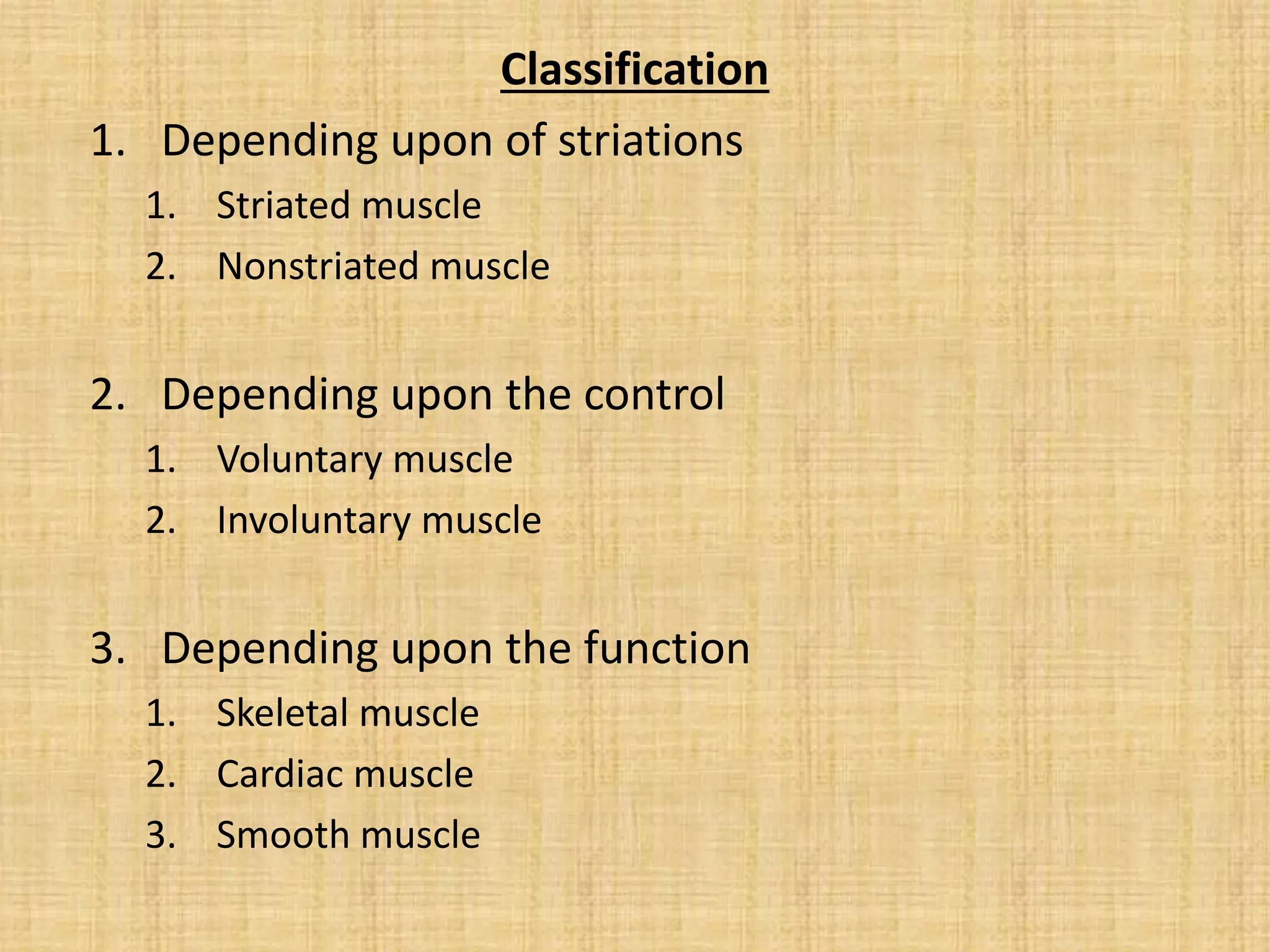 Muscles classification | PDF