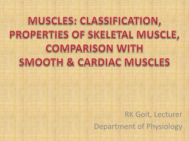 Muscles classification | PDF | Physical Therapy | Wellness