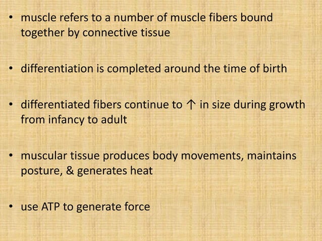 Muscles classification | PDF | Physical Therapy | Wellness