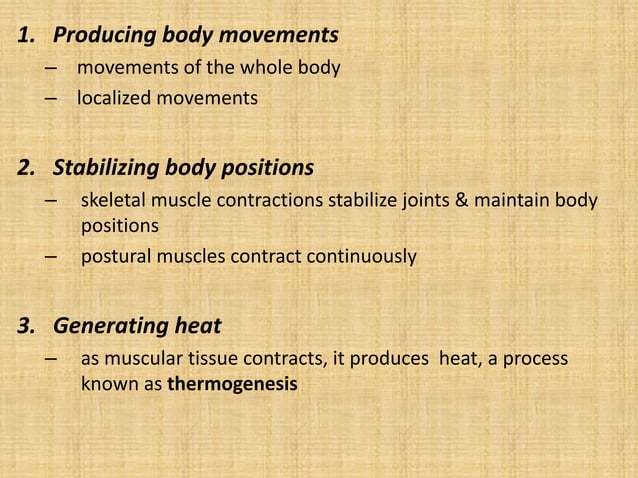 Muscles classification | PDF | Physical Therapy | Wellness