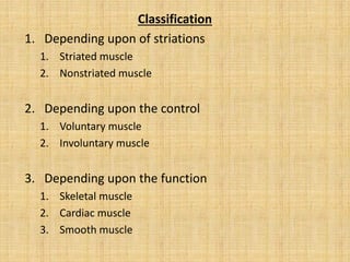 Muscles classification | PDF
