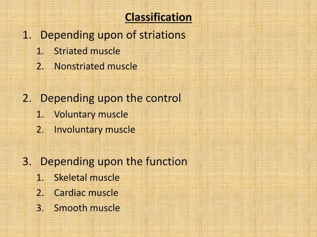 Muscles classification | PPT