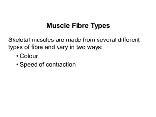 MusCYQ | PPTX