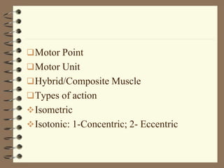 Muscles Dr. Rohin.ppt | Physical Therapy | Wellness