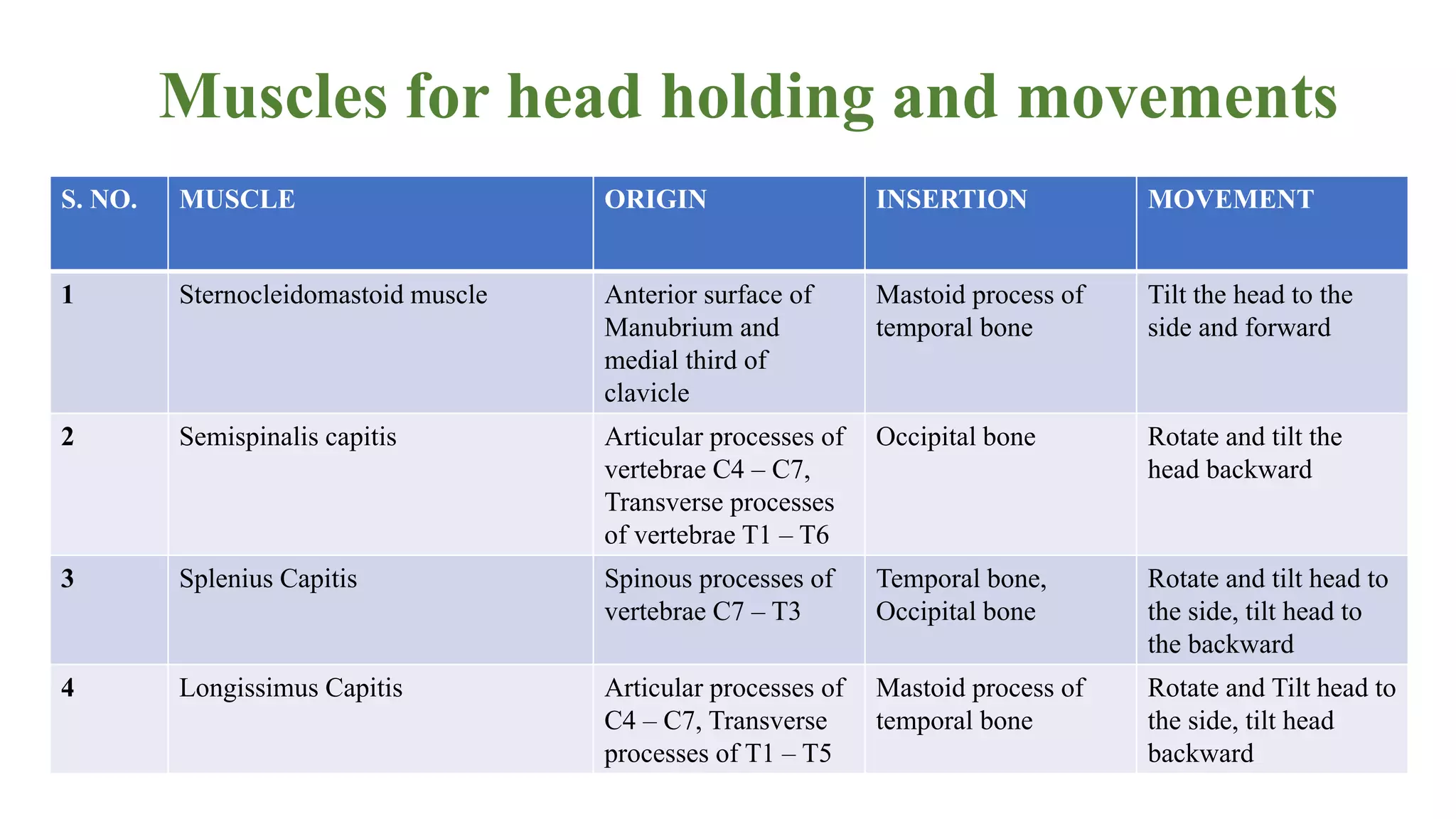 Muscles for head holding and movements.pptx