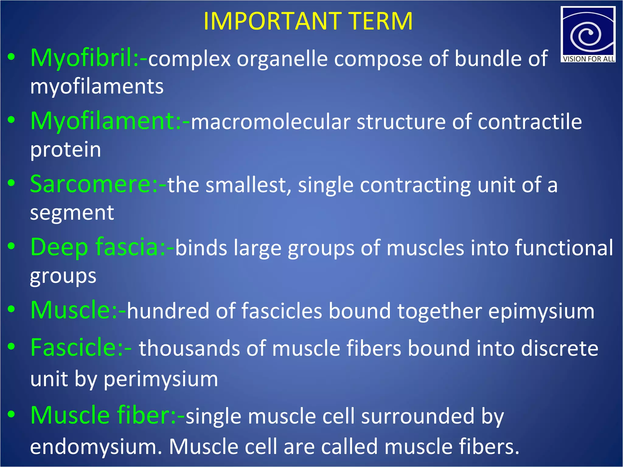 MUSCLES (THREE TYPES OF MUSCLES IN THE BODY) | PPT