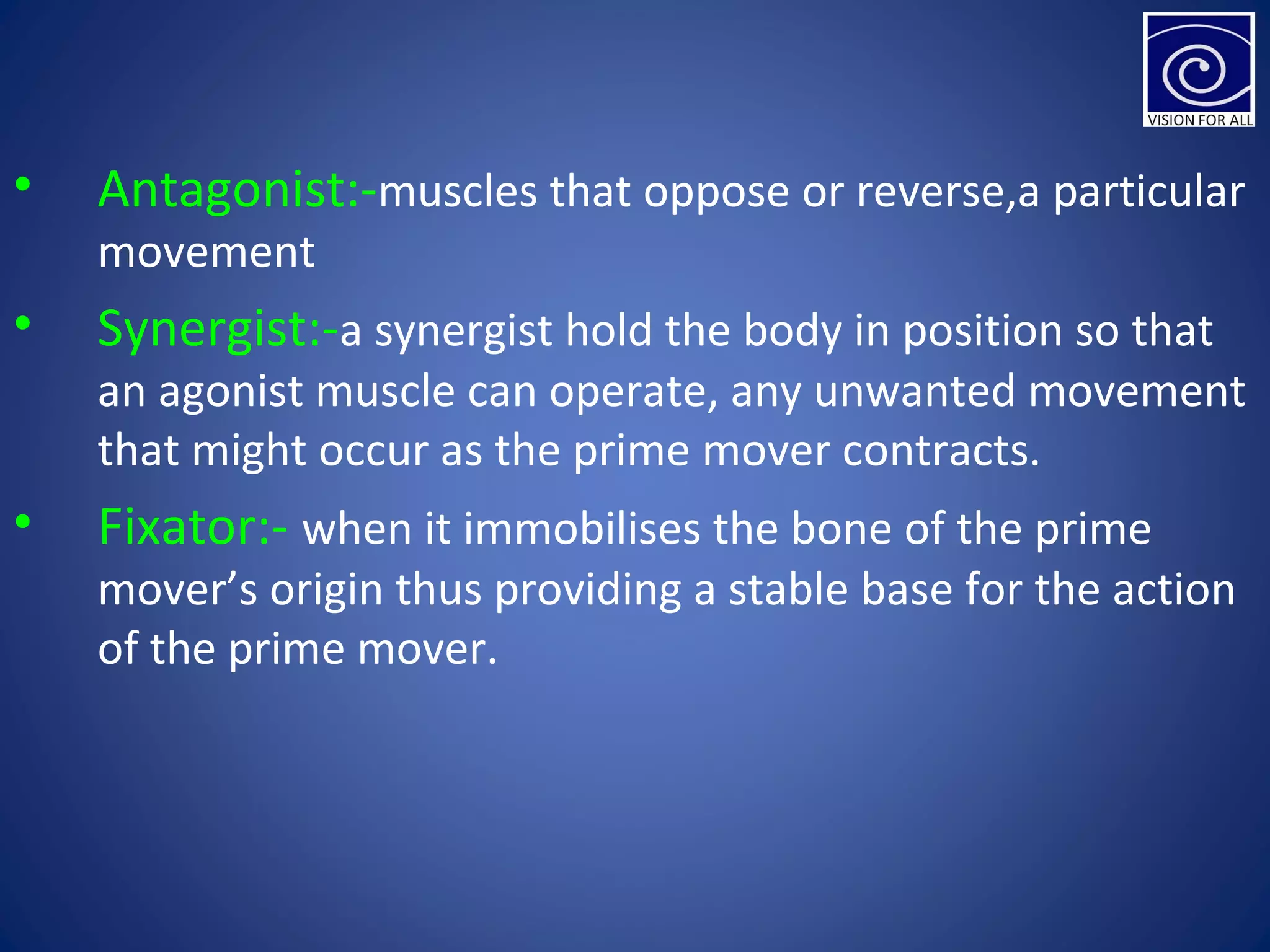 MUSCLES (THREE TYPES OF MUSCLES IN THE BODY) | PPT