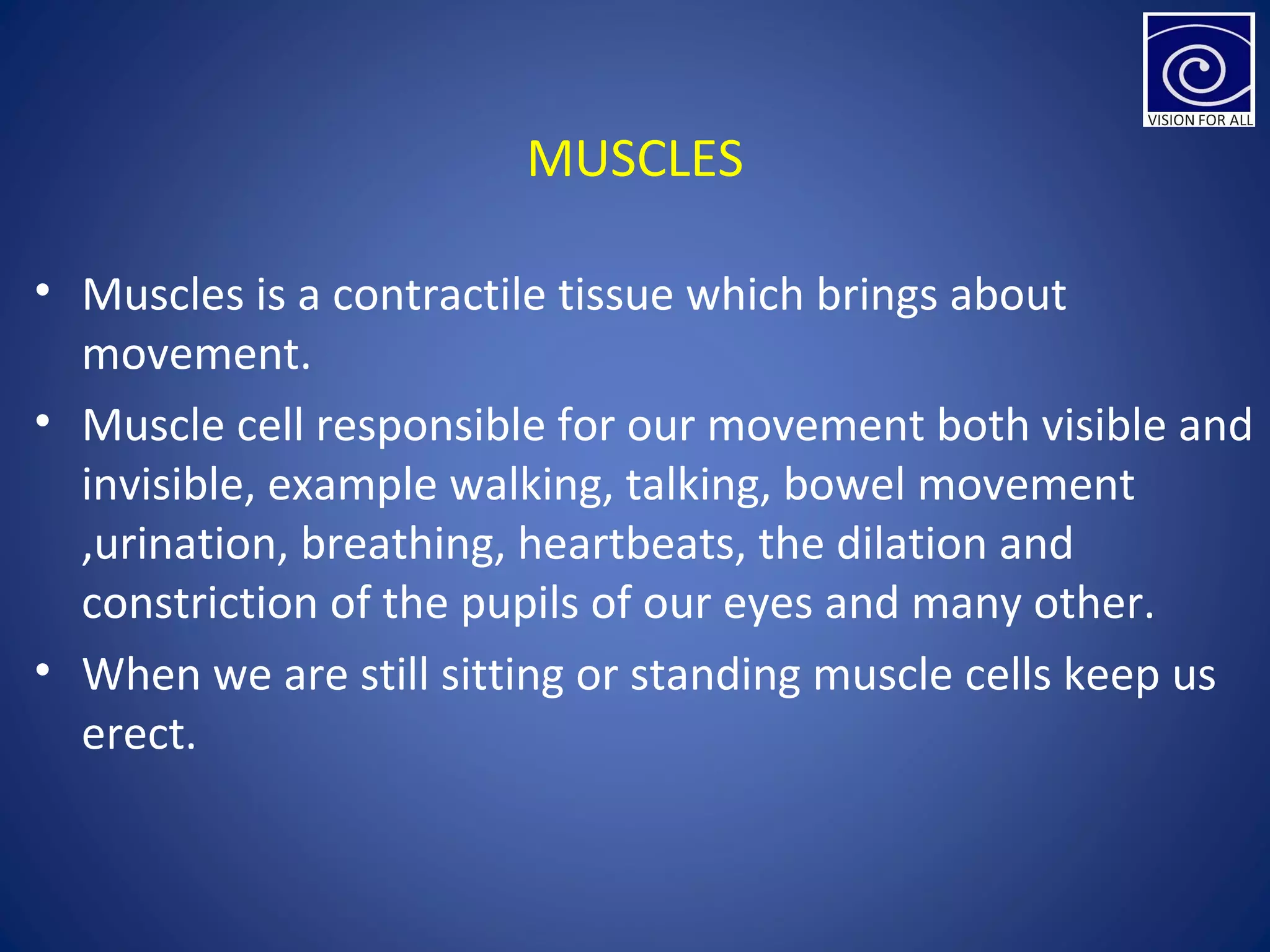 MUSCLES (THREE TYPES OF MUSCLES IN THE BODY) | PPT