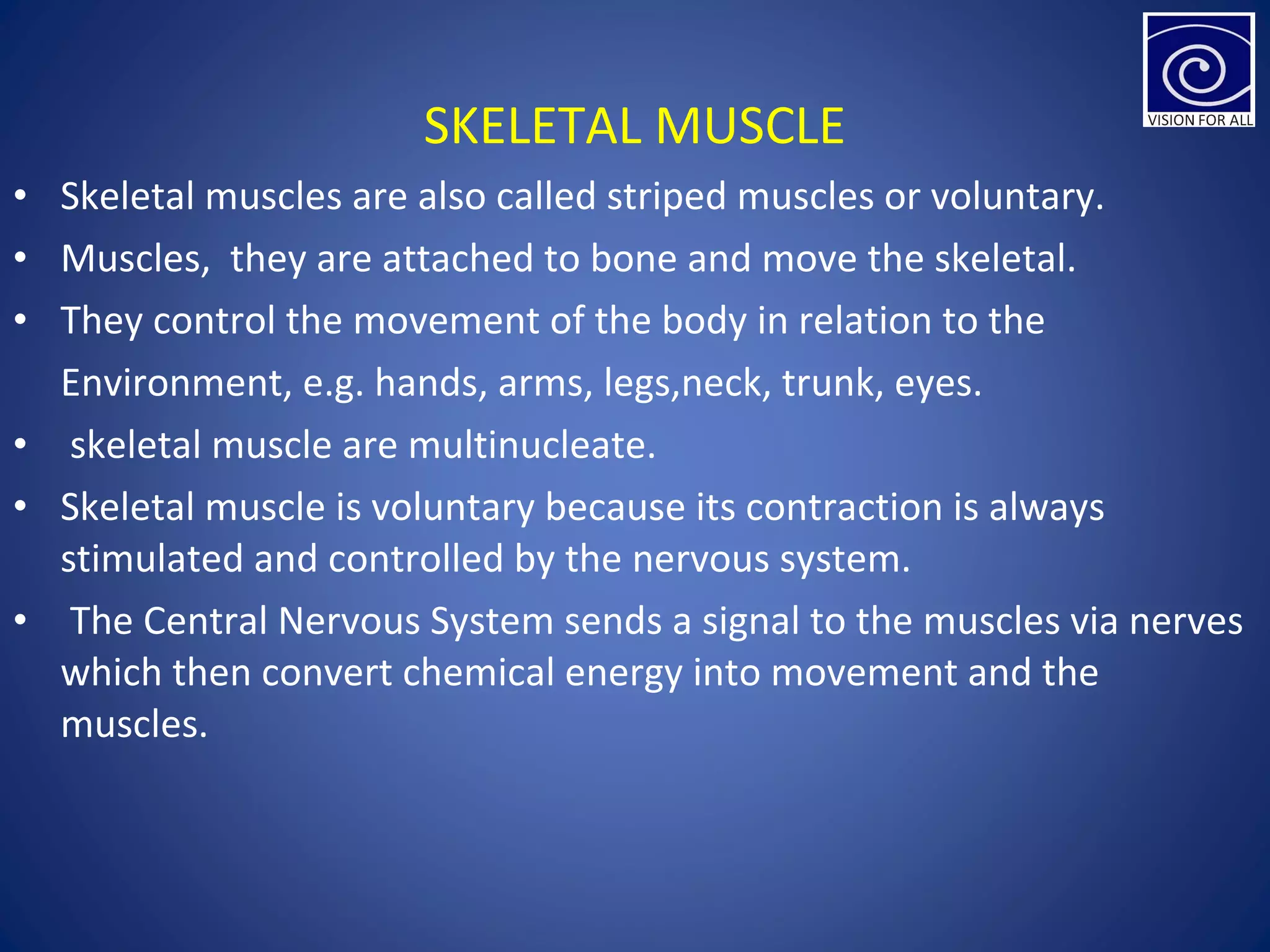 MUSCLES (THREE TYPES OF MUSCLES IN THE BODY) | PPT | Biological ...