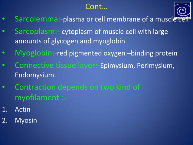 MUSCLES (THREE TYPES OF MUSCLES IN THE BODY) | PPT | Biological ...