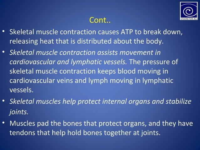 MUSCLES (THREE TYPES OF MUSCLES IN THE BODY) | PPT | Biological ...