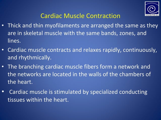 MUSCLES (THREE TYPES OF MUSCLES IN THE BODY) | PPT | Biological ...