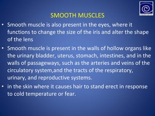 MUSCLES (THREE TYPES OF MUSCLES IN THE BODY) | PPT