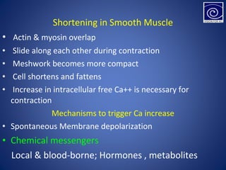 MUSCLES (THREE TYPES OF MUSCLES IN THE BODY) | PPT