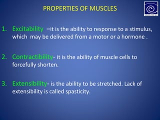 MUSCLES (THREE TYPES OF MUSCLES IN THE BODY) | PPT