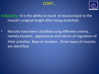 MUSCLES (THREE TYPES OF MUSCLES IN THE BODY) | PPT