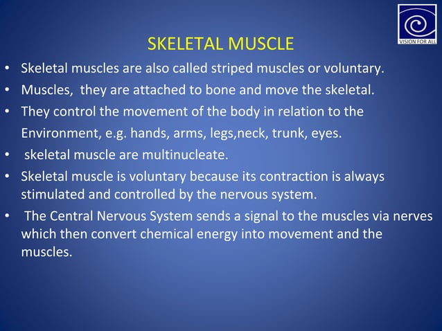 MUSCLES (THREE TYPES OF MUSCLES IN THE BODY) | PPT | Biological ...