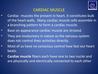 Cardiac Muscle Example