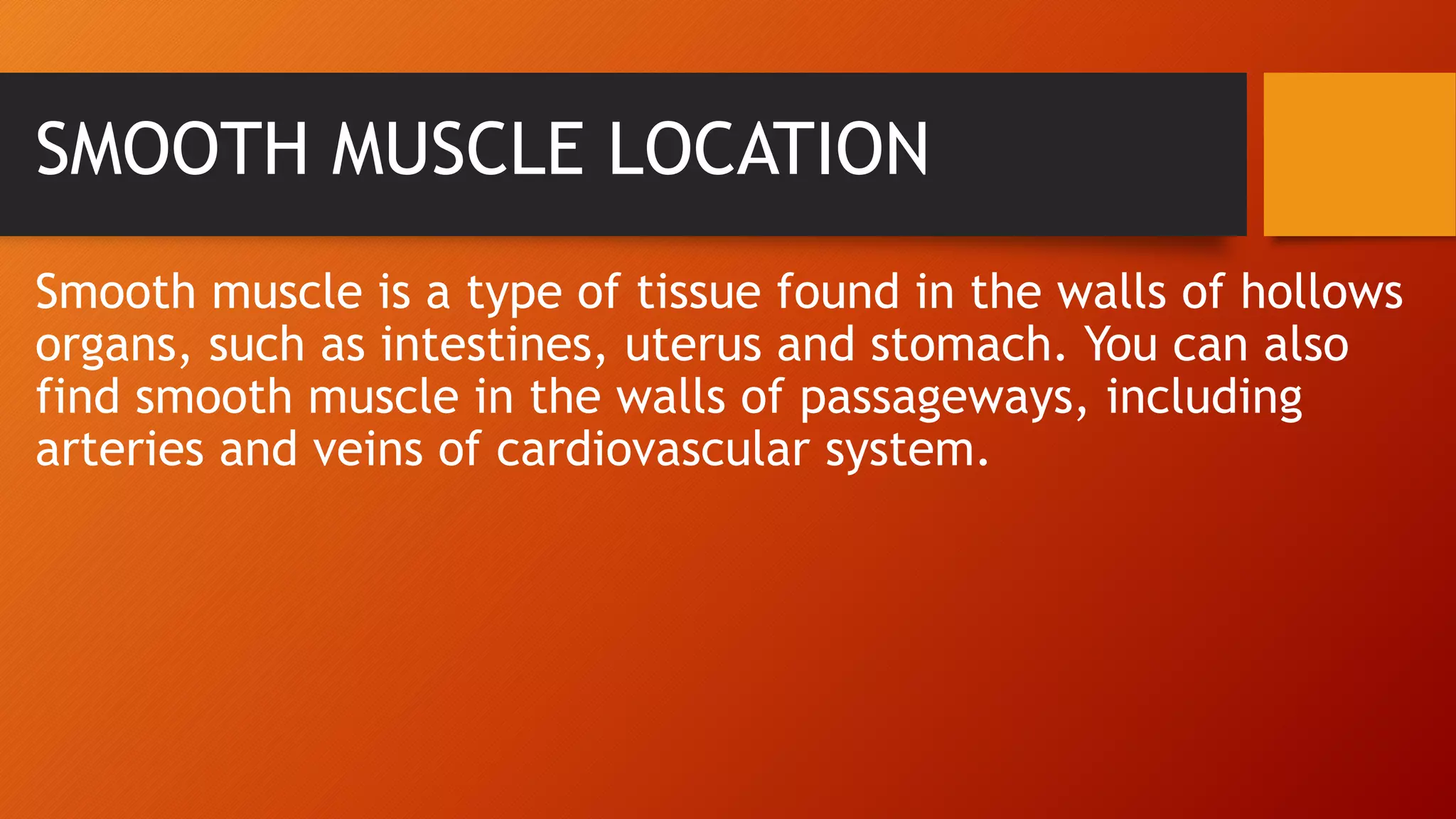 Muscles in human body | PPTX