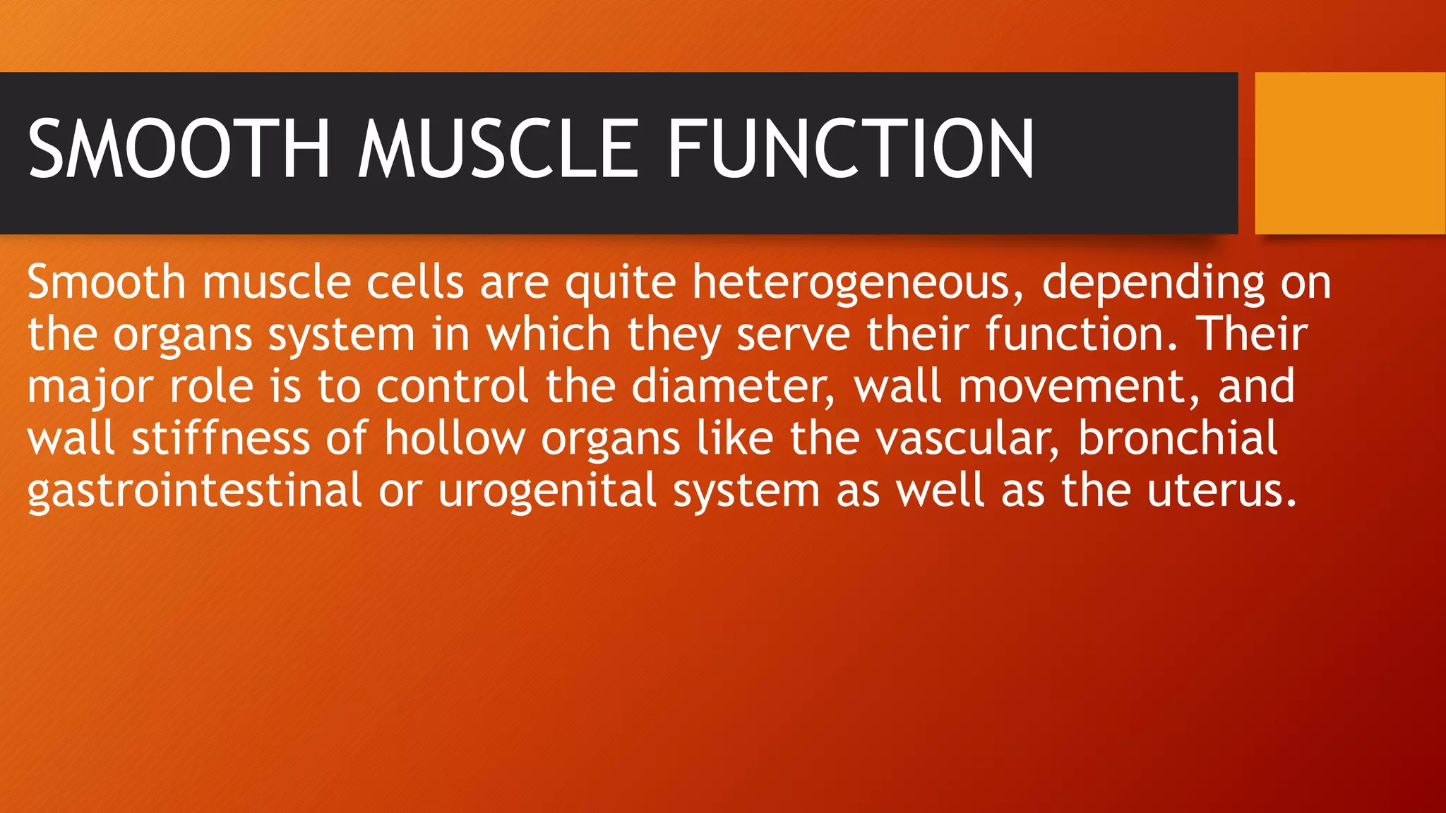 Muscles in human body | PPTX