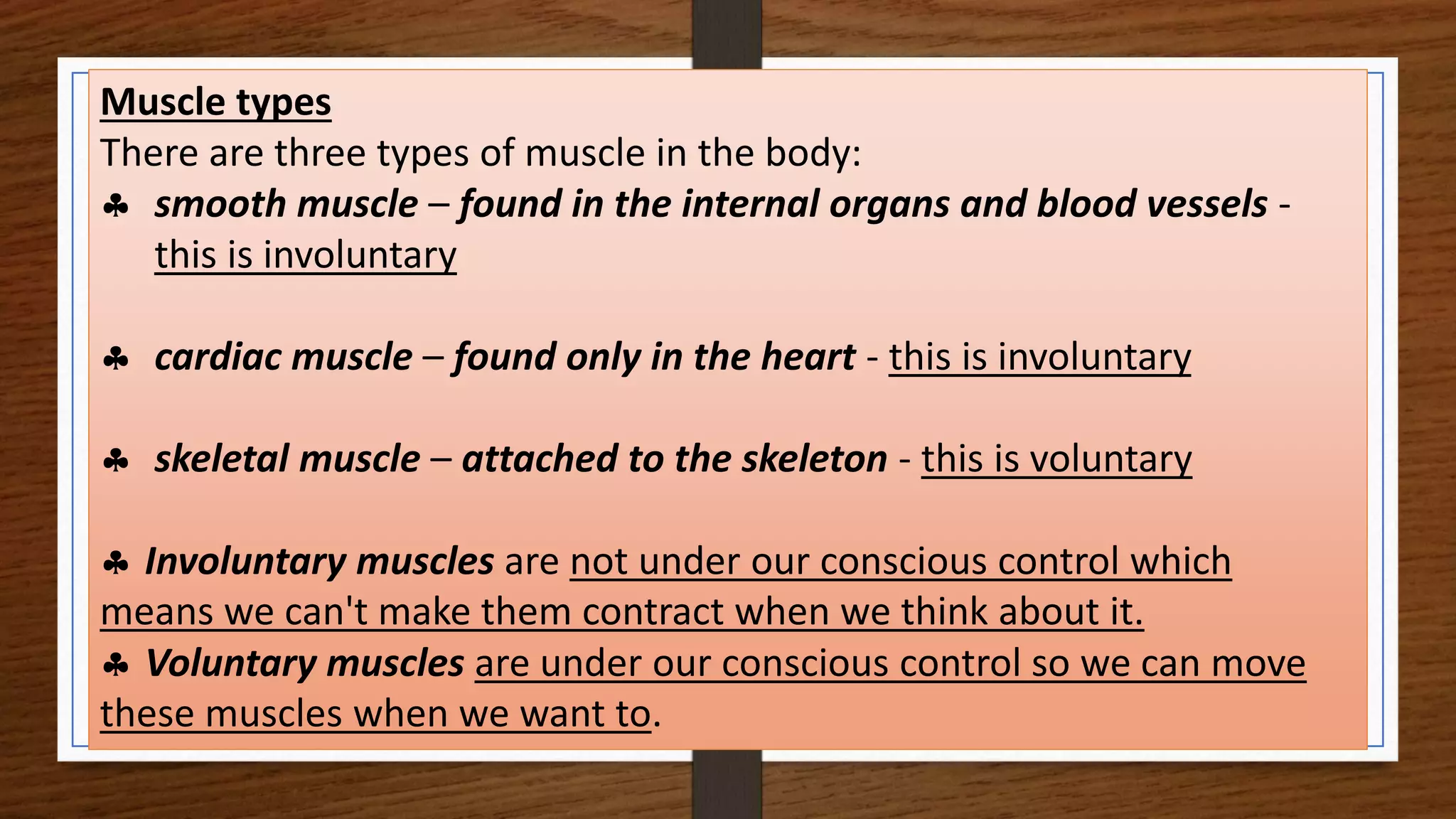 muscles introduction (1).pptx