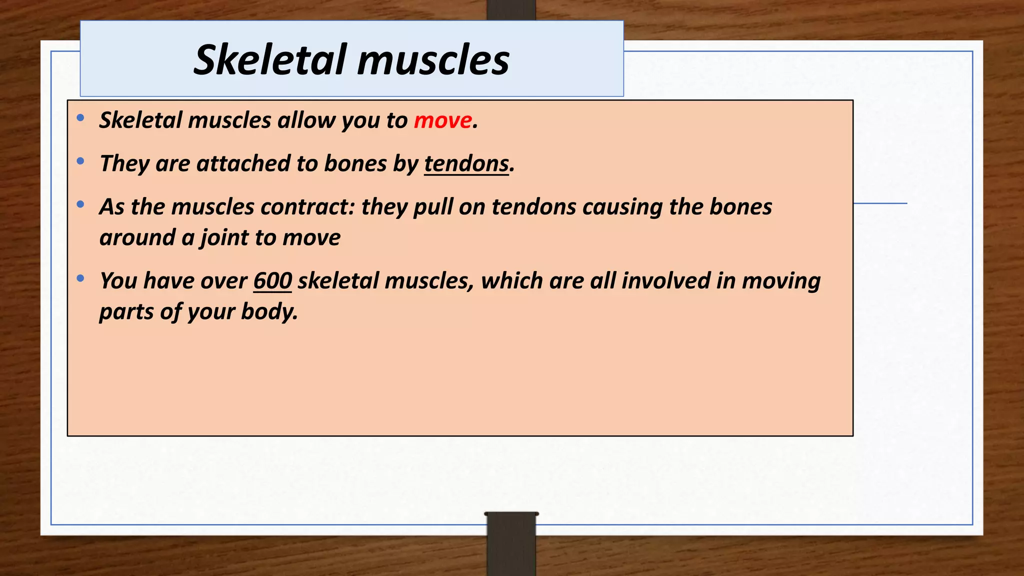 muscles introduction (1).pptx
