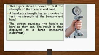 muscles introduction (1).pptx