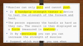 muscles introduction (1).pptx