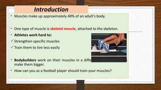 muscles introduction (1).pptx