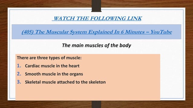 muscles introduction (1).pptx