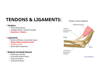 muscle &skeletal trauma lecture presentation | PPTX