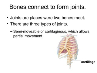 muscleskeleton grade 5 sciece student book.ppt