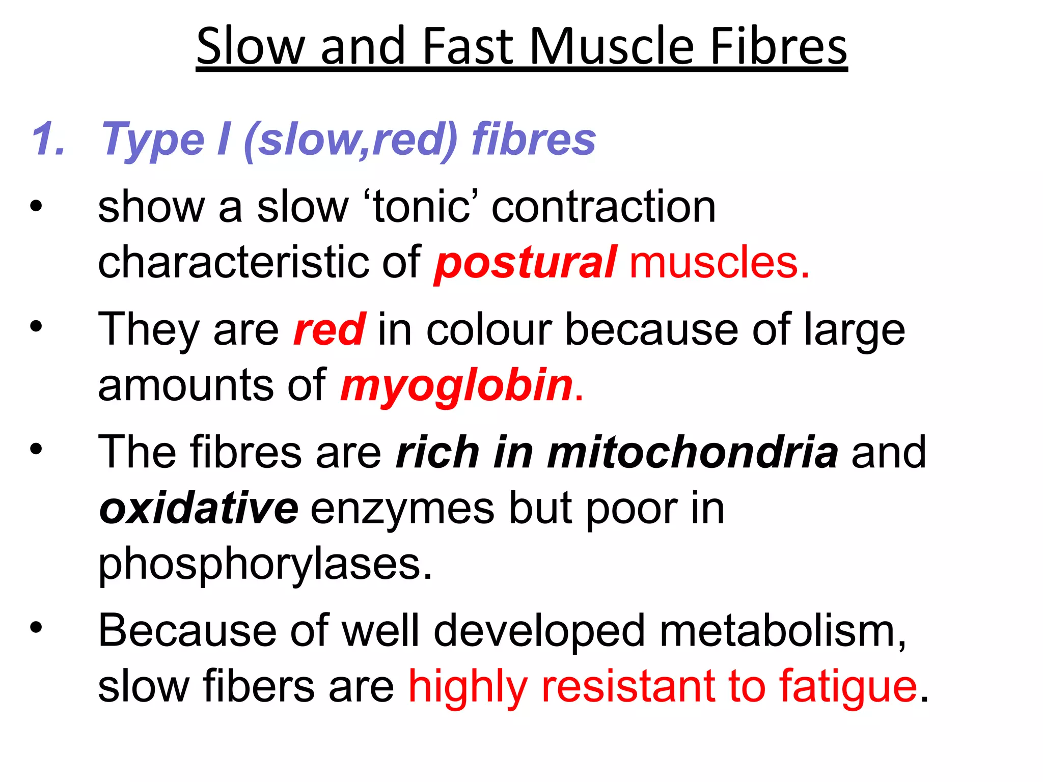 Introduction to Muscle & Its Types | PPTX