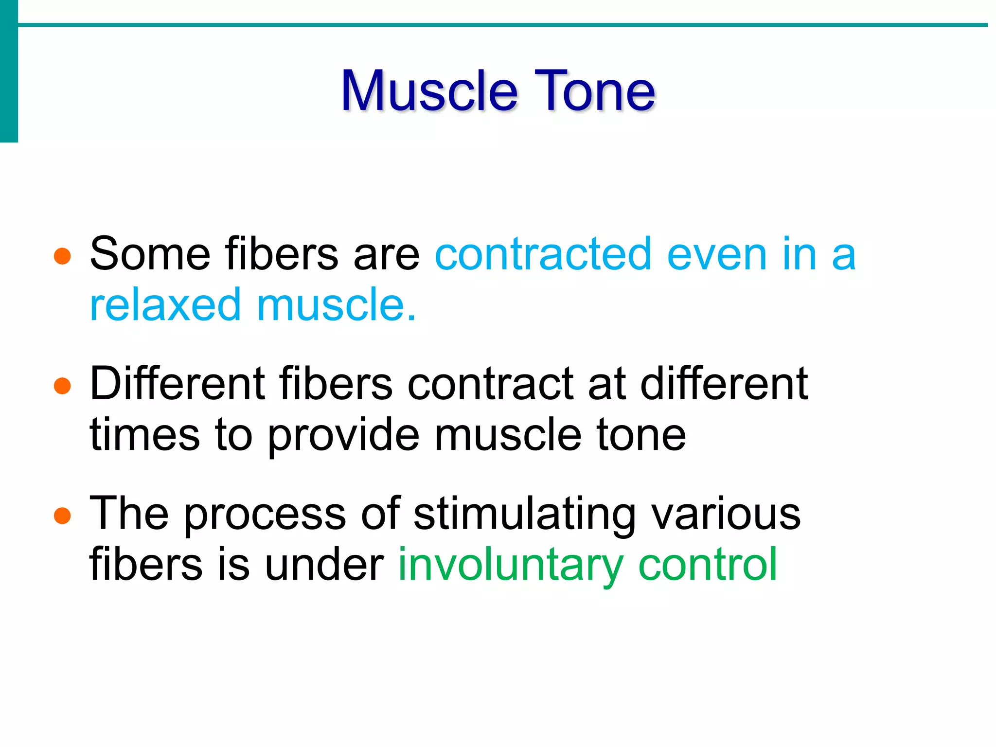 Introduction to Muscle & Its Types | PPTX