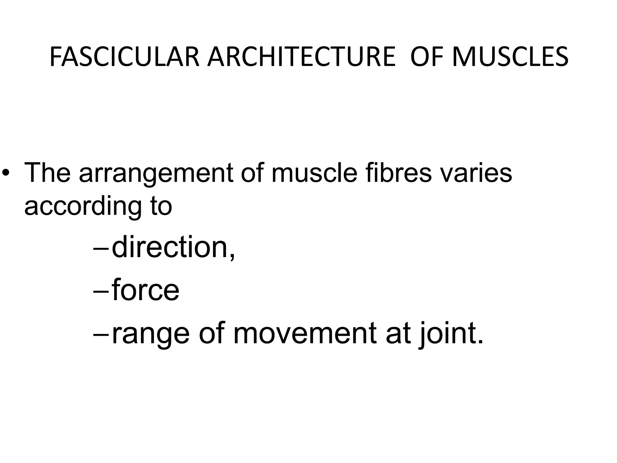 Introduction to Muscle & Its Types | PPTX