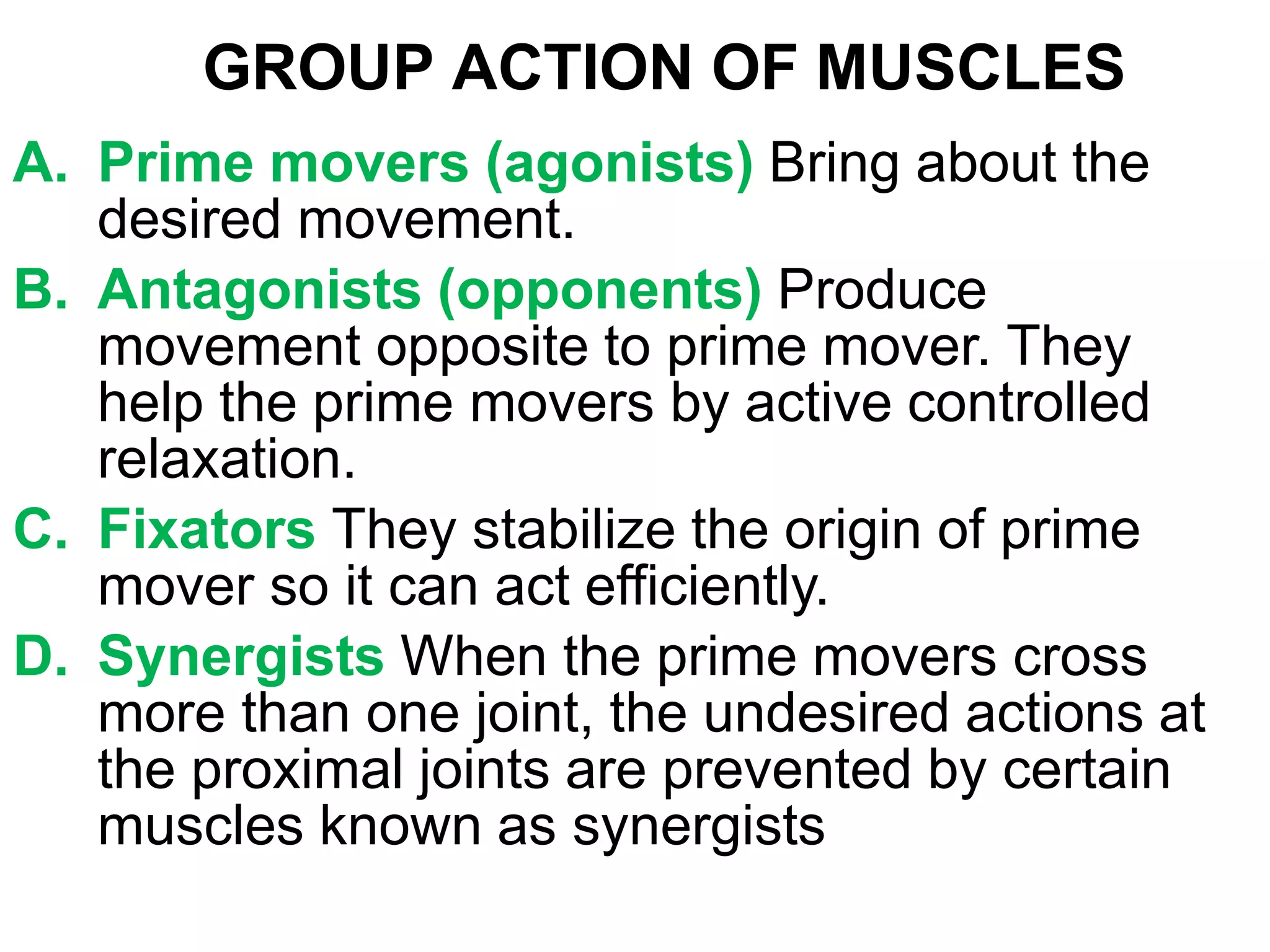 Introduction to Muscle & Its Types | PPTX