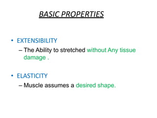 Introduction to Muscle & Its Types | PPTX